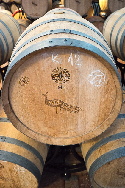 The Wines of Stobi – Macedonia For 91 Days
